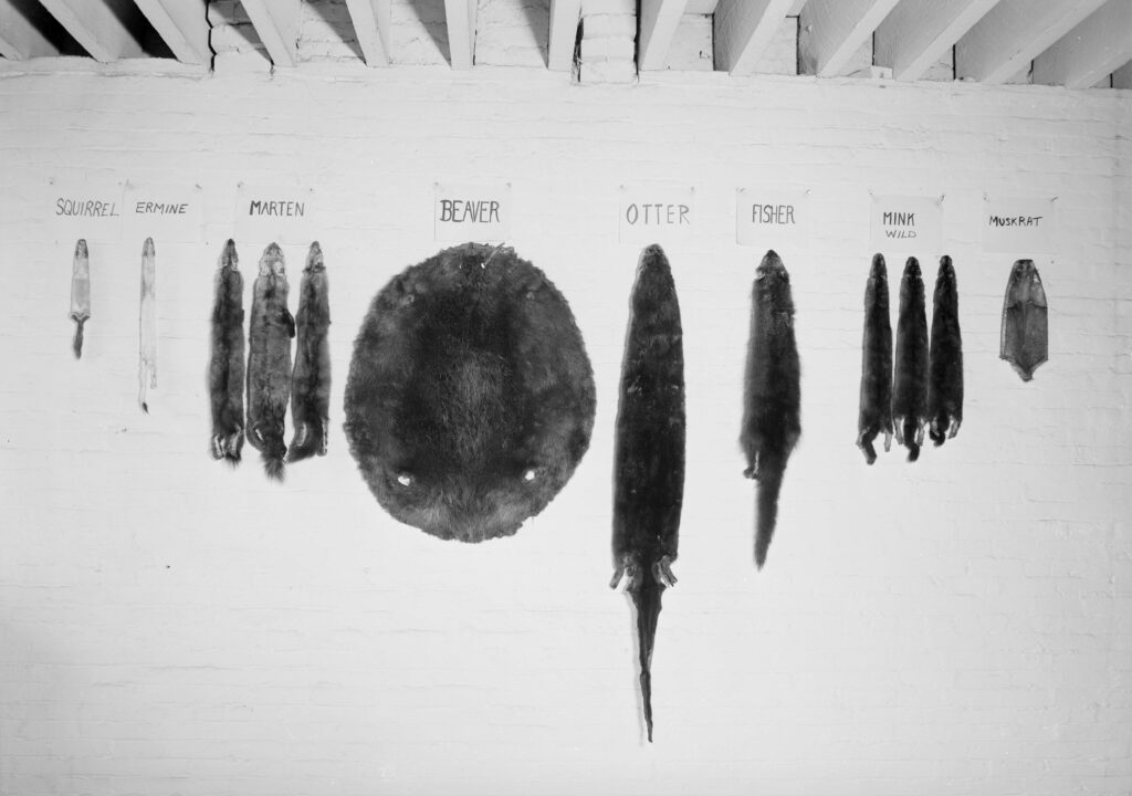 Otter Moments from Vancouver’s History: Part I – AuthentiCity